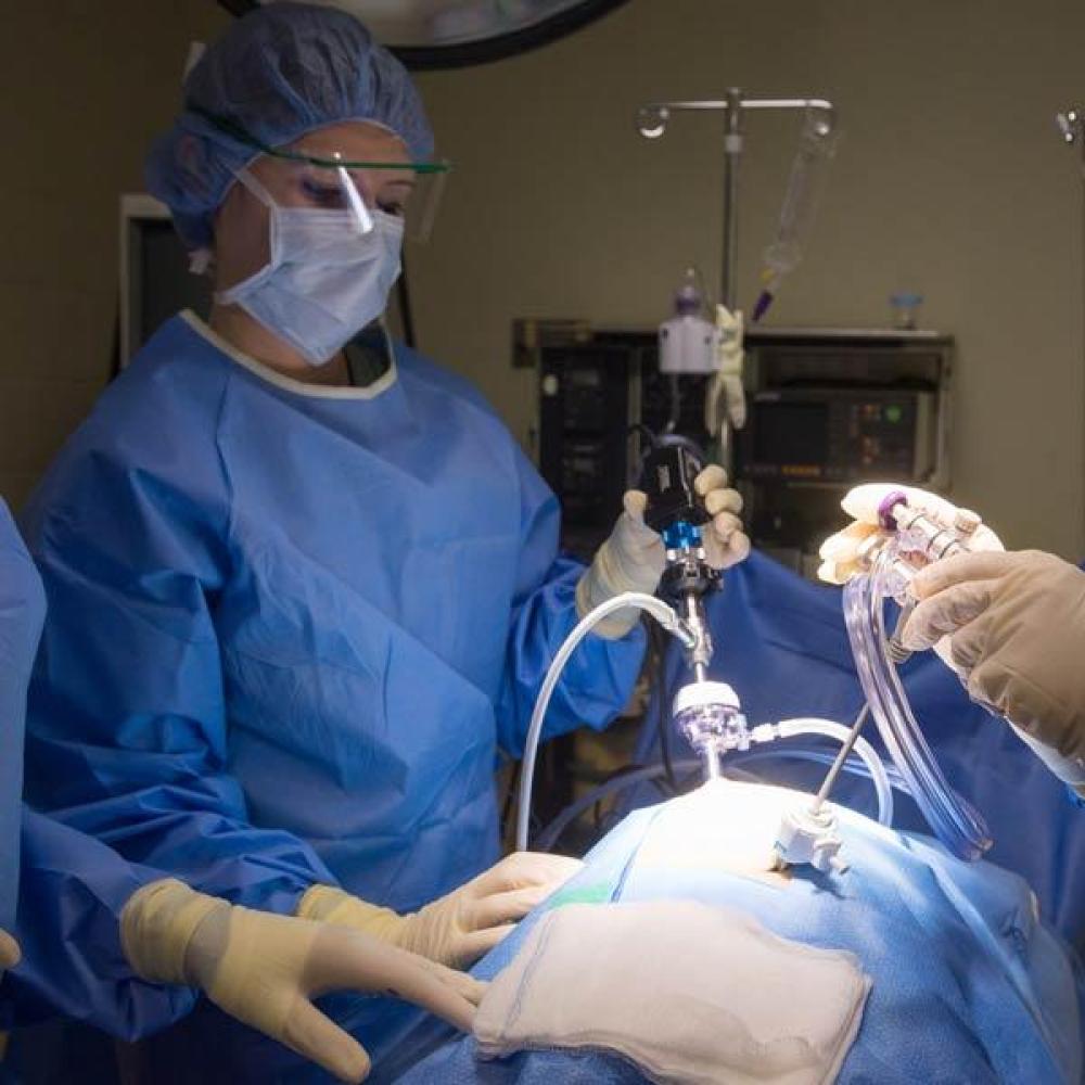 Surgical Technology | Pennsylvania College of Technology